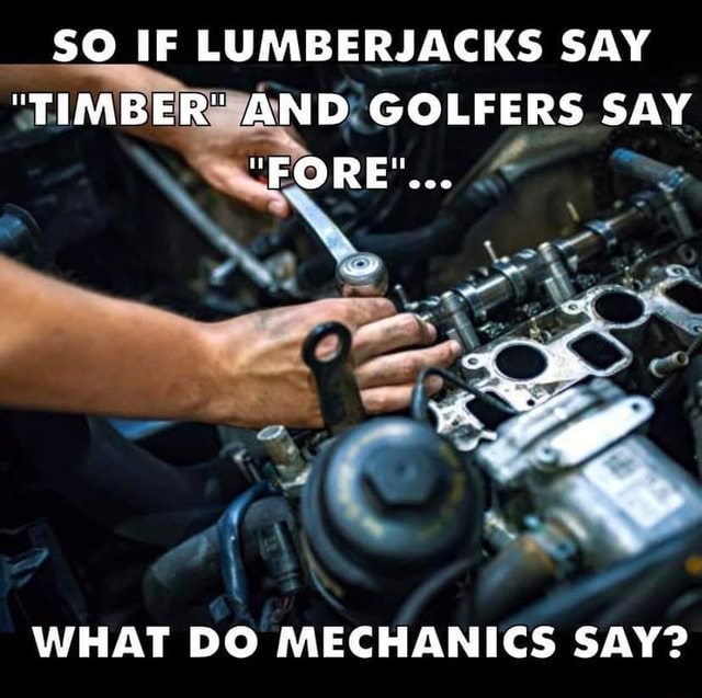 SO IF LUMBERJACKS SAY "TIMBER' AND GOLFERS SAY "FORE'... WHAT DO ...
