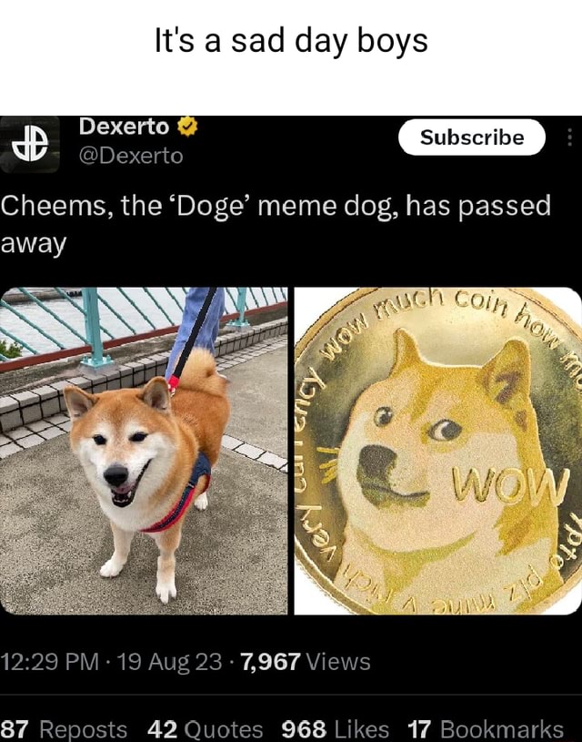 It's a sad day boys Dexerto @Dexerto Cheems, the 'Doge' meme dog, has ...