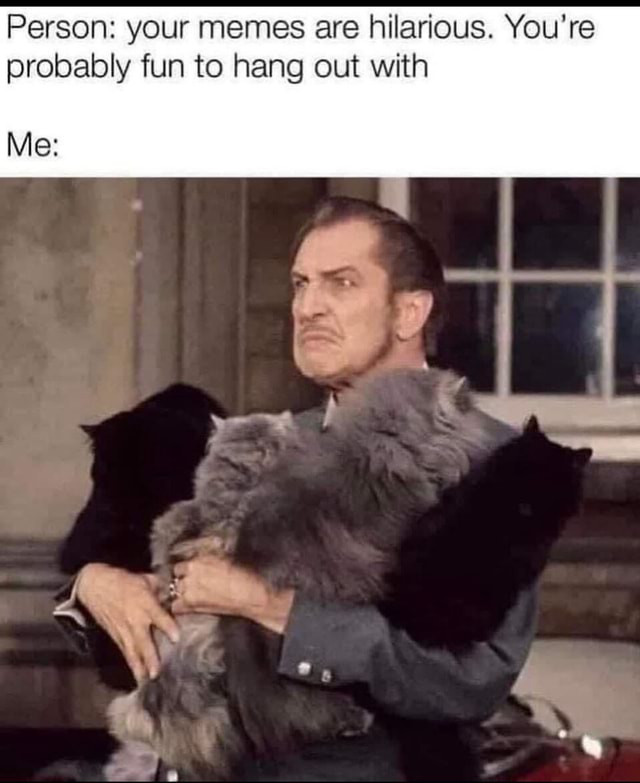 Person: your memes are hilarious. You're probably fun to hang out with ...