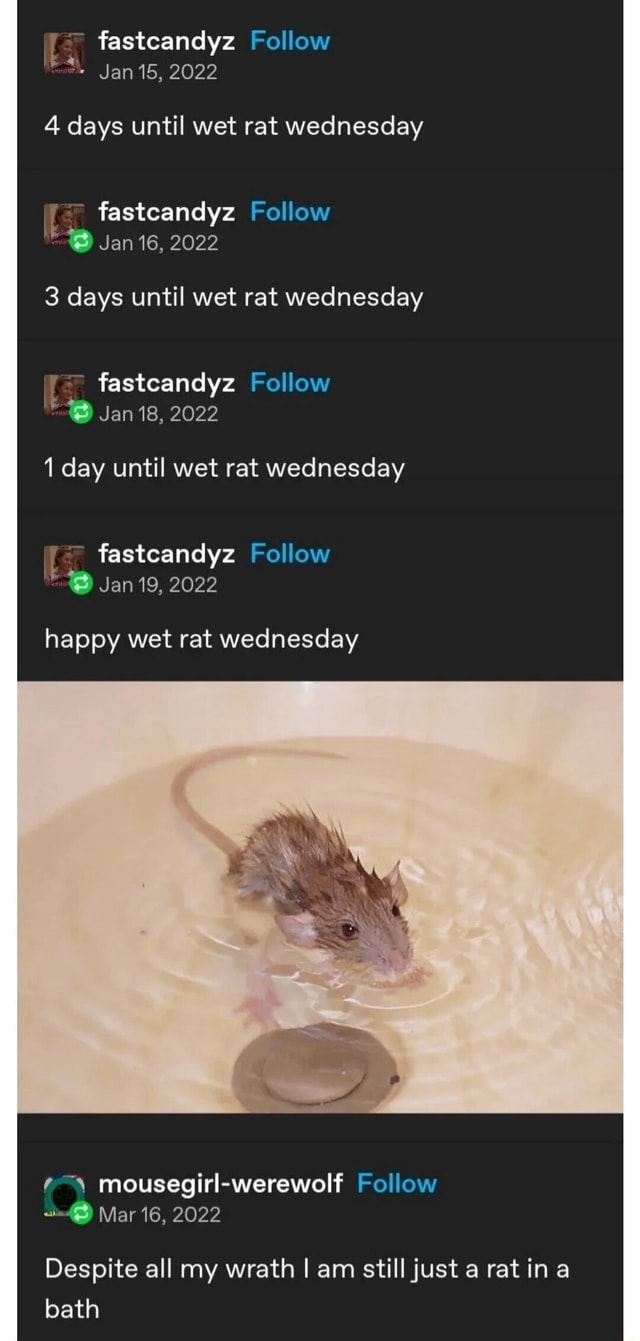 Fastcandyz Follow Jan 15, 2022 4 days until wet rat wednesday ...
