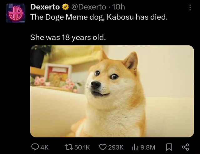 The Doge Meme dog, Kabosu has died. Dexerto @Dexerto She was 18 years ...