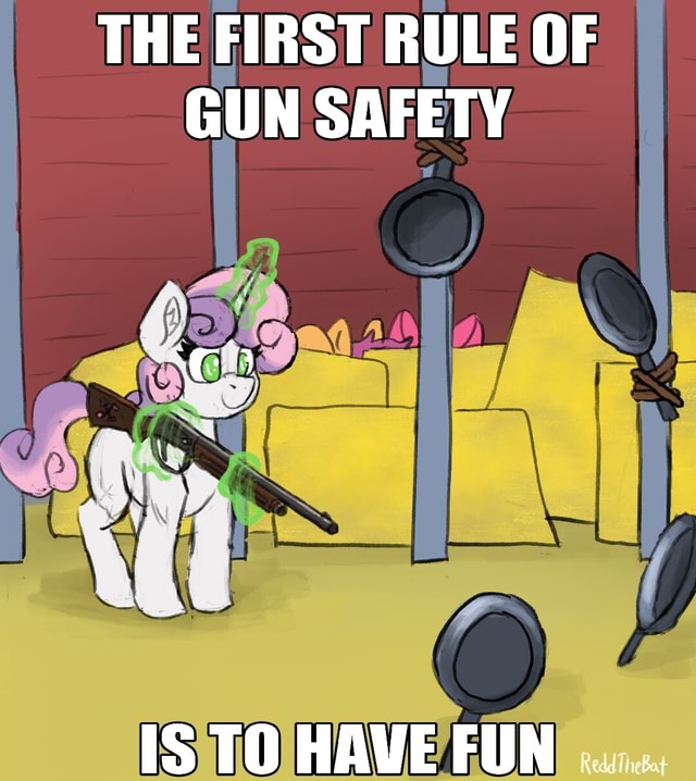 THE FIRST RULE OF GUN SAFETY IS TO HAVE FUN - iFunny