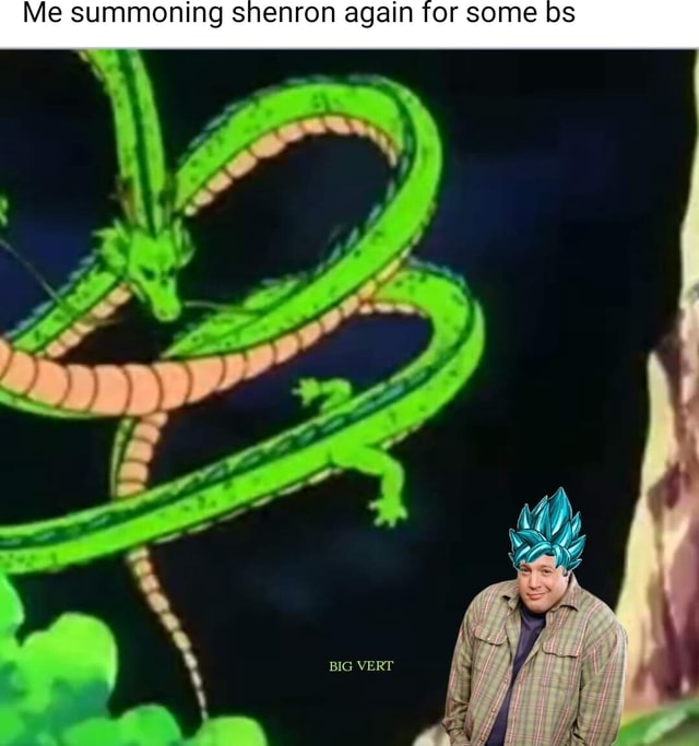 Me summoning shenron again for some bs Ad Ww BIG VERT - iFunny