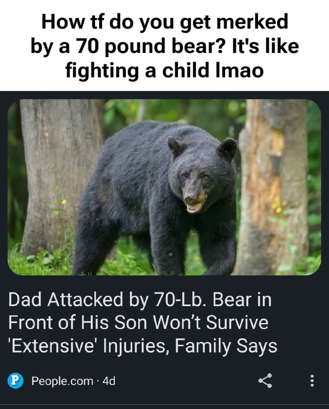 How tf do you get merked by a 70 pound bear? It's like fighting a child ...