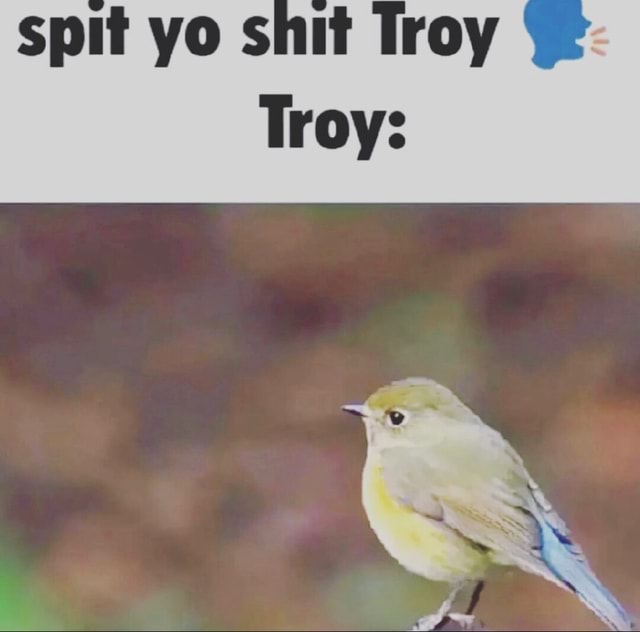 Spit yo shit Troy Troy: - iFunny
