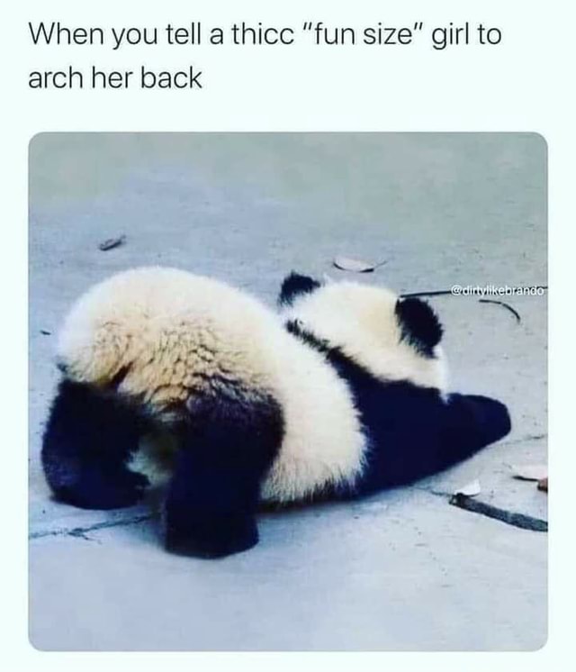 When you tell a thicc "fun size" girl to arch her back - America’s best ...