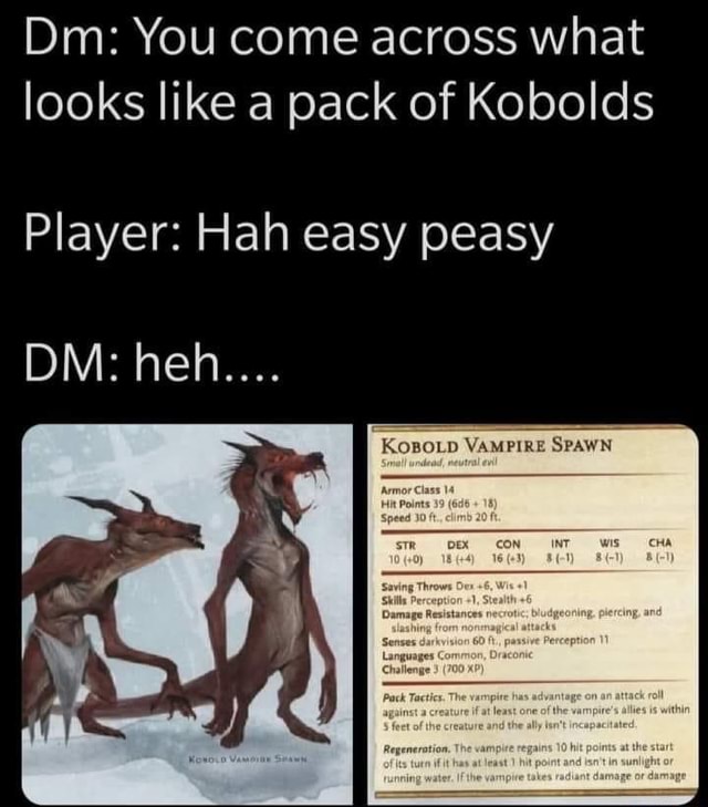 Dm: You come across what looks like a pack of Kobolds Player: Hah easy ...