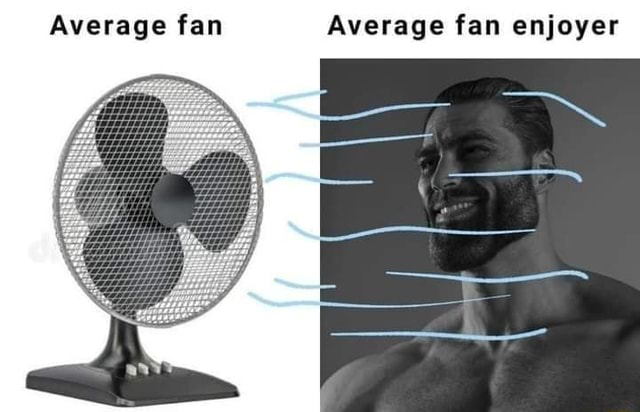 Average fan Average fan enjoyer - iFunny