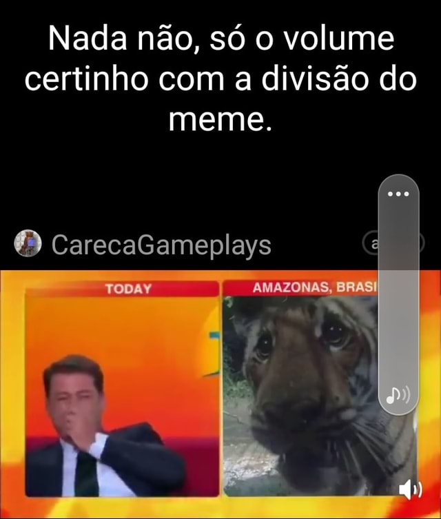 Nada não, só o volume certinho com a divisão do meme. CarecaGameplays ...
