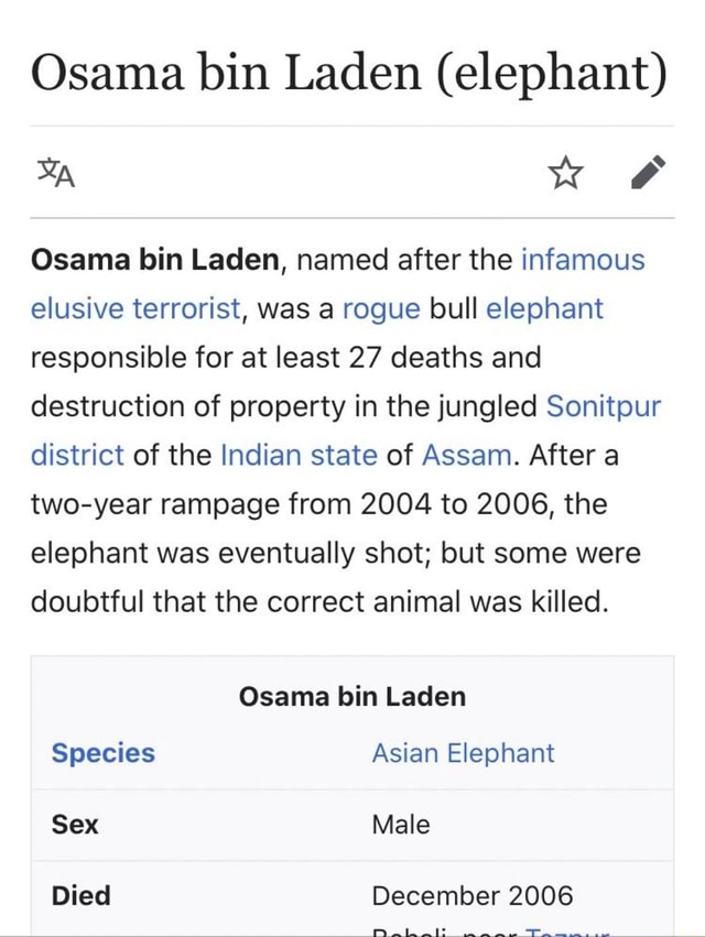 Osama bin Laden (elephant) Osama bin Laden, named after the infamous ...