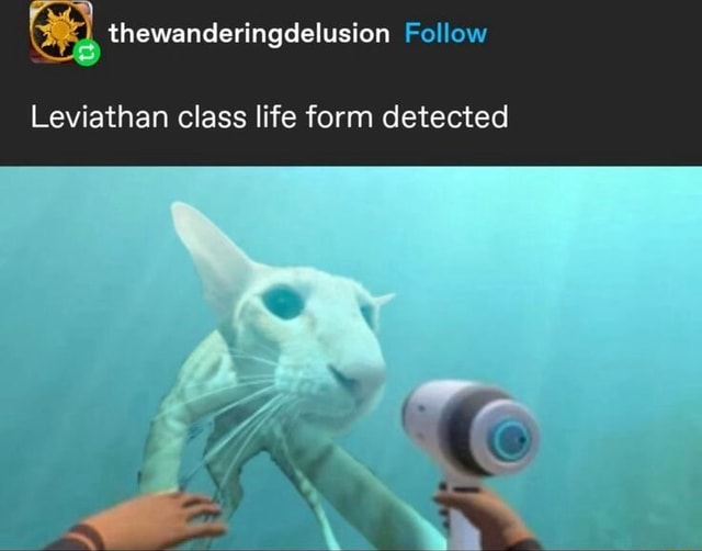 Leviathan class life form detected I Ne - iFunny