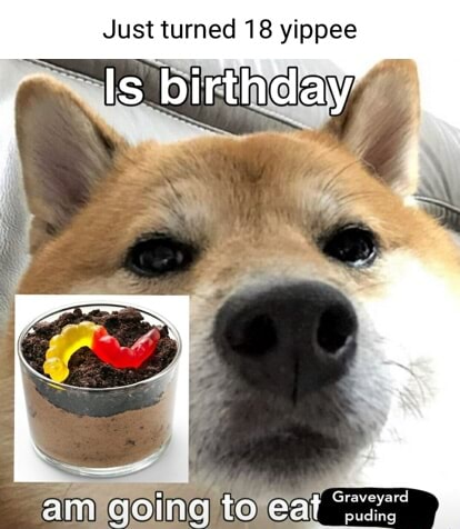Just turned 18 yippee Is birthday am aoing to eat - iFunny