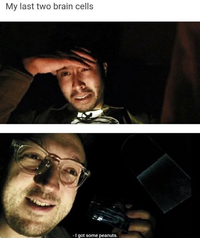 My last two brain cells - iFunny