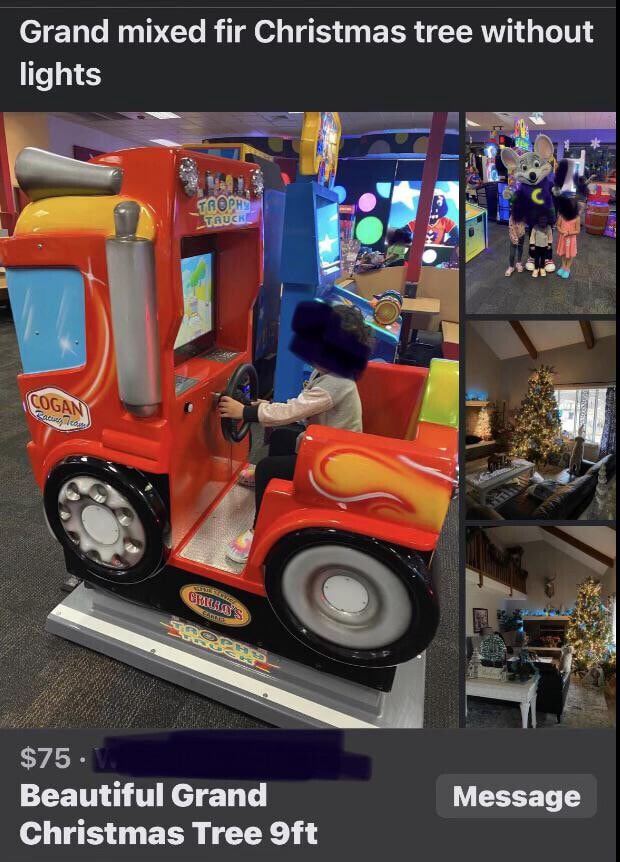 Grand mixed fir Christmas tree without lights $75 Beautiful Grand ...