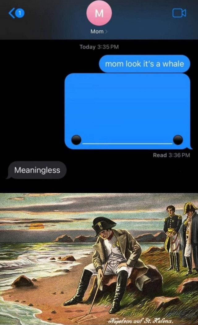Mom Today mom look it's a whale Read Meaningless - iFunny