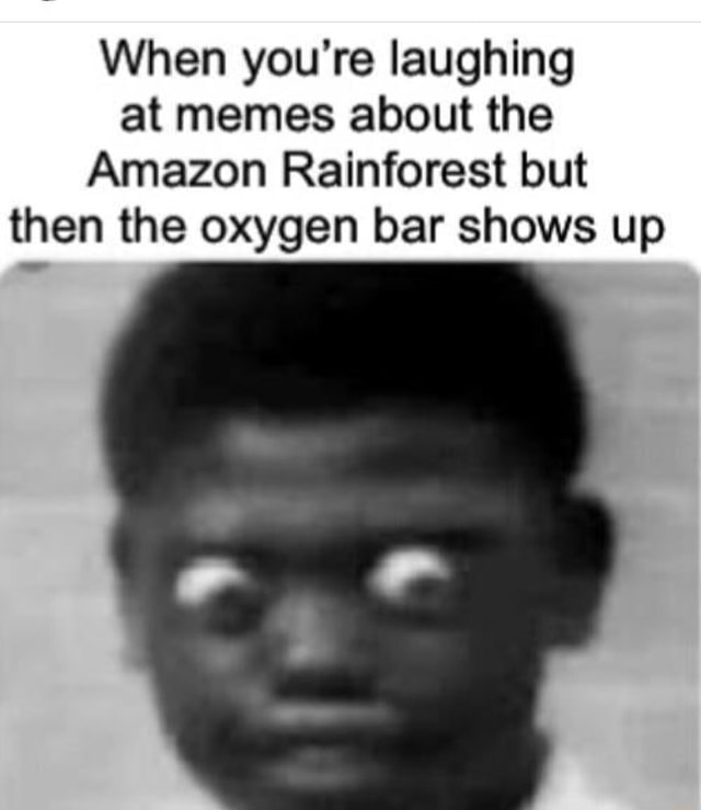 When you're laughing at memes about the Amazon Rainforest but then the ...