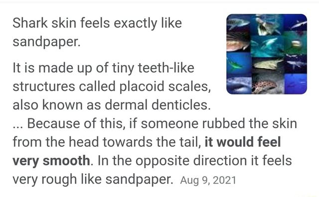 Shark skin feels exactly like sandpaper. It is made up of tiny teeth ...