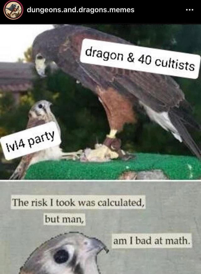 Dungeons.and.dragons.memes 40 The risk I took was calculated, but man ...