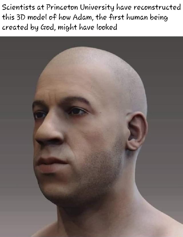 Scientists at Princeton University have reconstructed this model of how ...