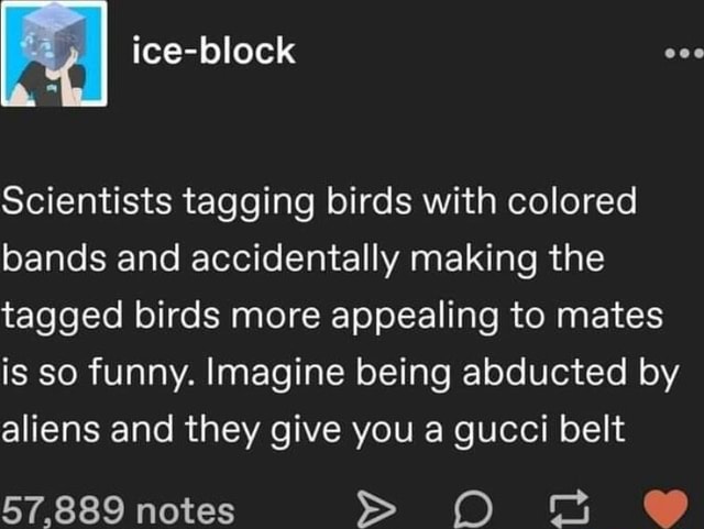 II Scientists tagging birds with colored bands and accidentally making ...
