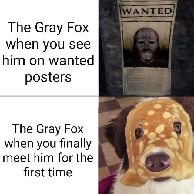 WANTED] The Gray Fox when you see him on wanted posters The Gray Fox ...