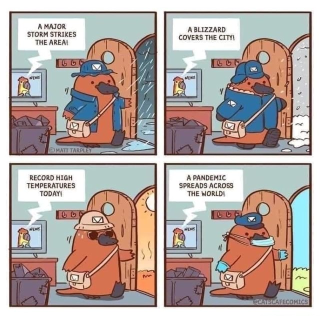 #wholesome #memes #comics #meme #wholesome_memes #mailman (credit: IG ...