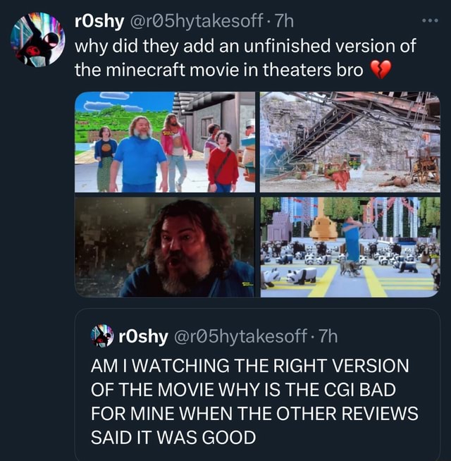 ROshy why did they add an unfinished version of the minecraft movie in ...