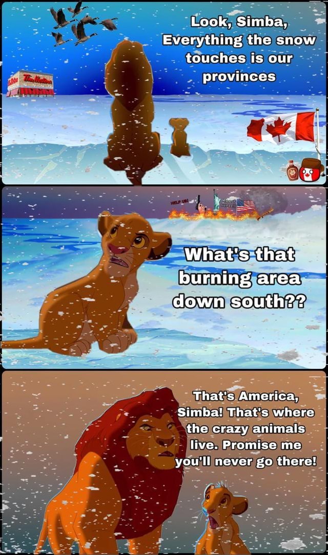 Look, Simba, Everything the snow touches is our provinces What's that ...