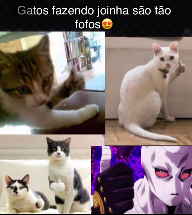 Os fazendo joinha são tão fofos - iFunny Os fazendo joinha são tão fofos - iFunny