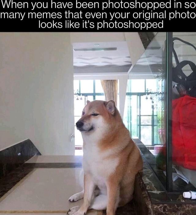 When you have been pp in so many memes that even your original photo ...