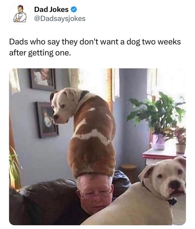 The classic dad move 🤣 - Dad Jokes @Dadsaysjokes Dads who say they don ...