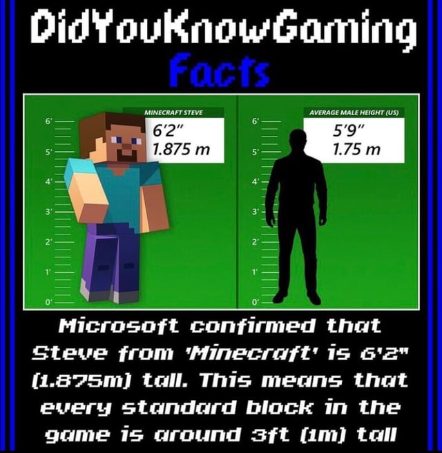 DidYouKnowGaming Facts (MINECRAFT STEVE AVERAGE MALE HEIGHT (US) 1.875 ...