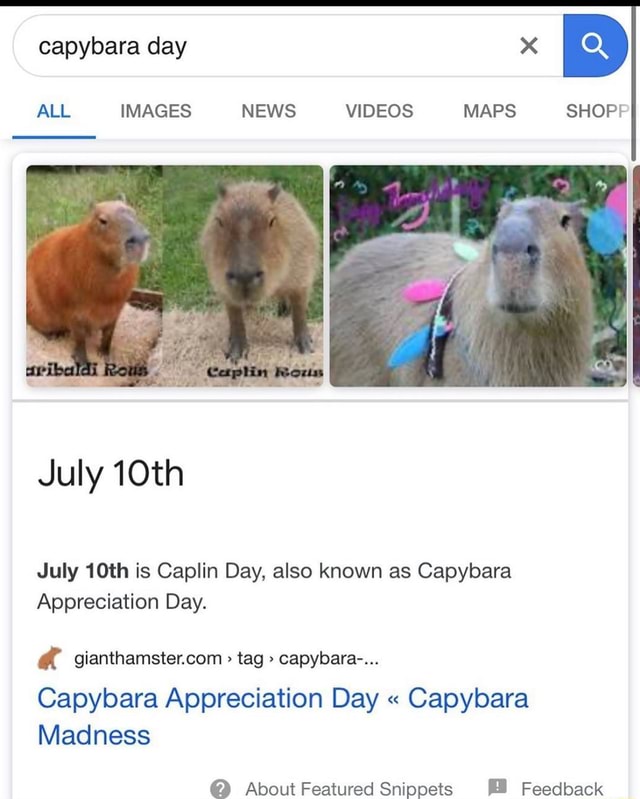 Capybara day ALL IMAGES NEWS VIDEOS MAPS SHOP! July 10th July 10th is ...