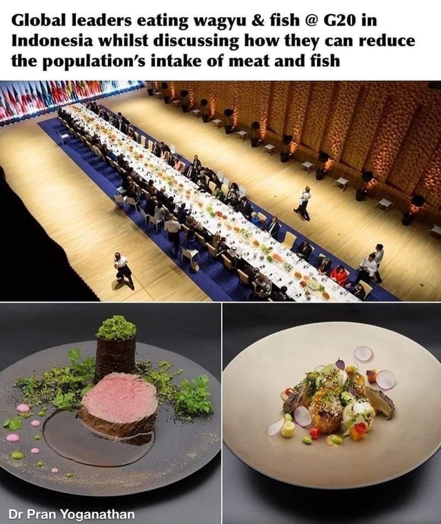Global leaders eating wagyu & fish @ in Indonesia whilst discussing how ...