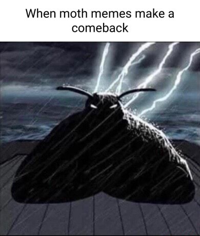 En moth memes make a comeback - iFunny