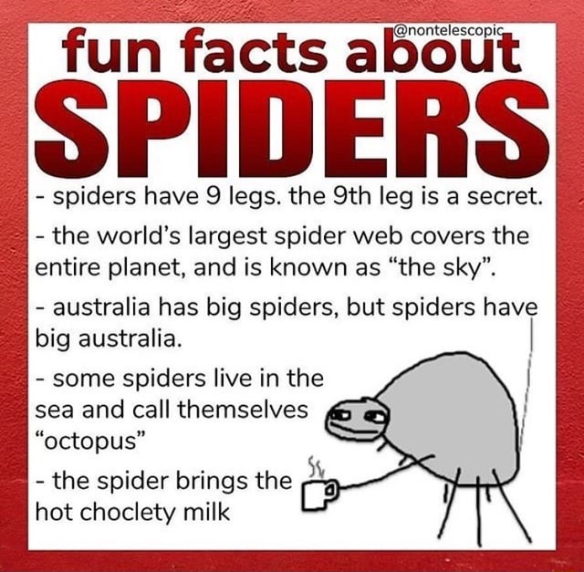 Fun facts about SPIDERS spiders have 9 legs. the 9th leg is a secret ... Fun facts about SPIDERS spiders have 9 legs. the 9th leg is a secret ...