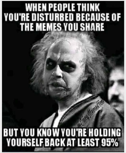 WHEN PEOPLE THINK YOU'RE DISTURBED BECAUSE OF THE MEMES YOU SHARE BUT ...