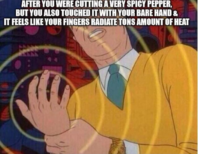 AFTER YOU WERE CUTTING A VERY SPICY PEPPER, BUT YOU ALSO TOUCHED IT ...