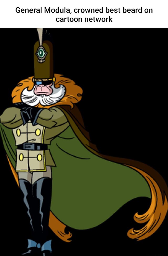 General Modula, crowned best beard on cartoon network - iFunny