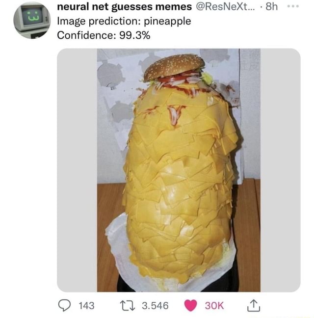 Neural Net Guesses Memes Resnext Image Prediction Pineapple Confidence 99 3 143 3 546