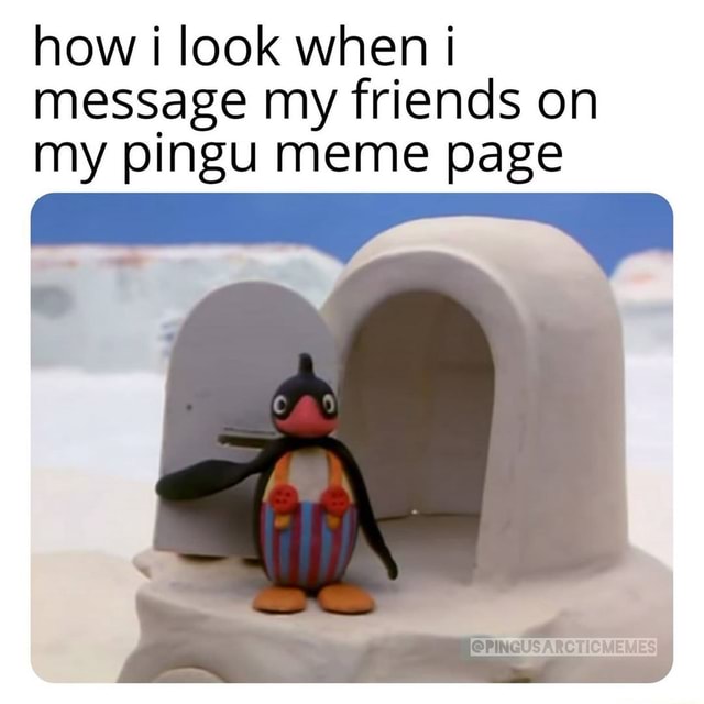 How look when message my friends on my pingu meme page - iFunny