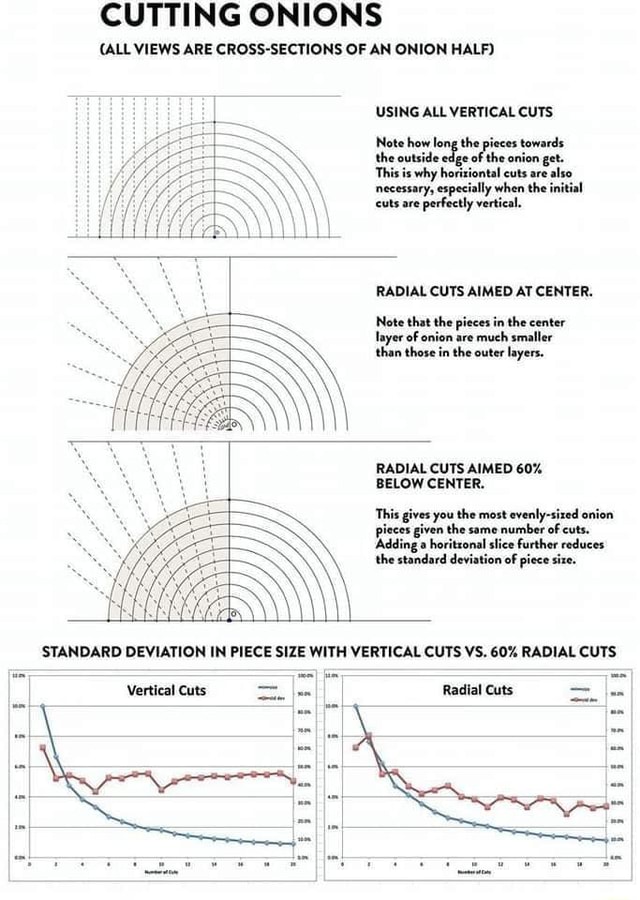 Cutting onions - CUTTING ONIONS (ALL VIEWS ARE CROSS-SECTIONS OF AN ...