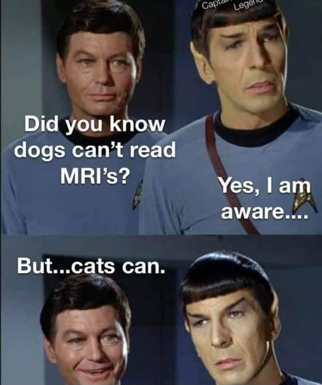 Did you know dogs can't read MRI's? Yes, I am aware... But...cats can ...