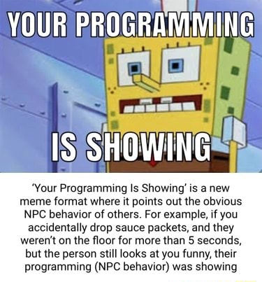 YOUR PROGRAMMING IS SHOWING "Your Programming Is Showing' is a new meme ...