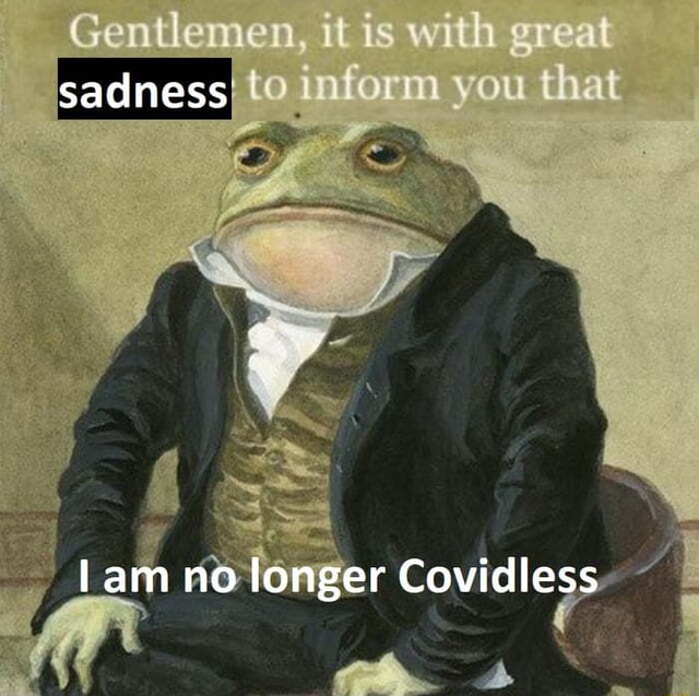 Gentle Sadness that no longer Covidless - iFunny