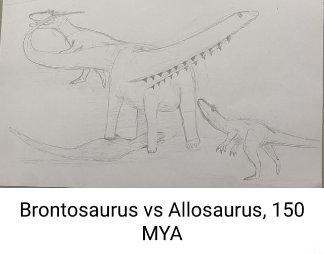 Brontosaurus vs Allosaurus, 150 MYA - iFunny