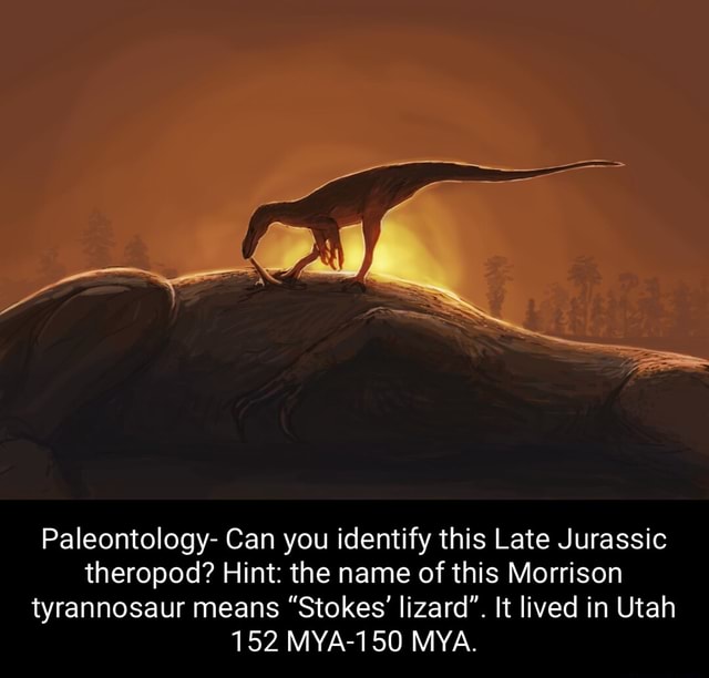 Paleontology- Can you identify this Late Jurassic theropod? Hint: the ...