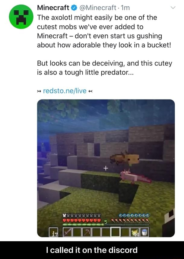 Minecraft@ The axolotl might easily be one of the cutest mobs we've ...