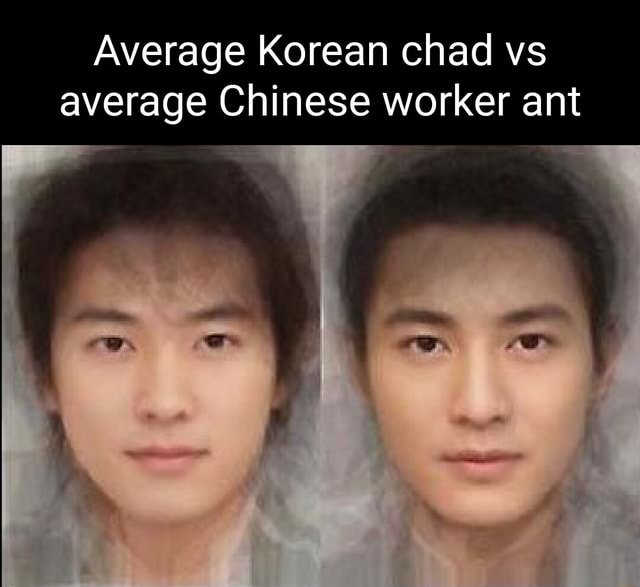 Average Korean chad vs average Chinese worker ant - iFunny