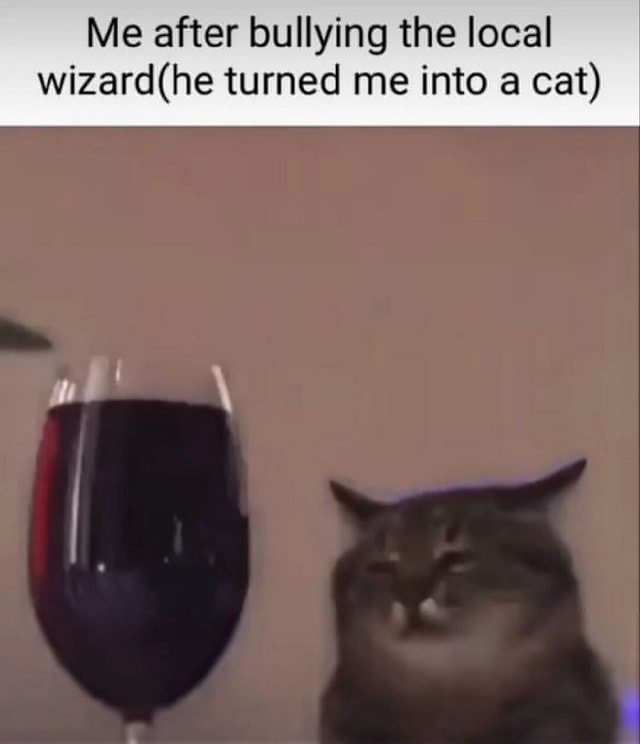 Me after bullying the local wizard (he turned me into cat) - iFunny